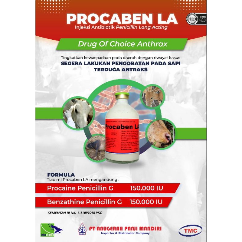Jual PROCABEN LA Injeksi Antibiotik Penicillin Long Acting | Shopee ...