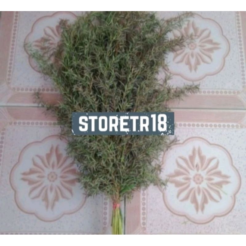 Jual Bunga Sereh Wangi Sereh Merah Segar Per 15 Tangkai | Shopee Indonesia