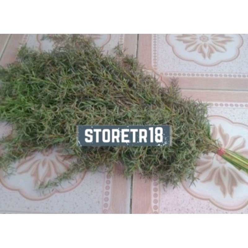 Jual Bunga Sereh Wangi Sereh Merah Segar Paket 15 Tangkai | Shopee ...