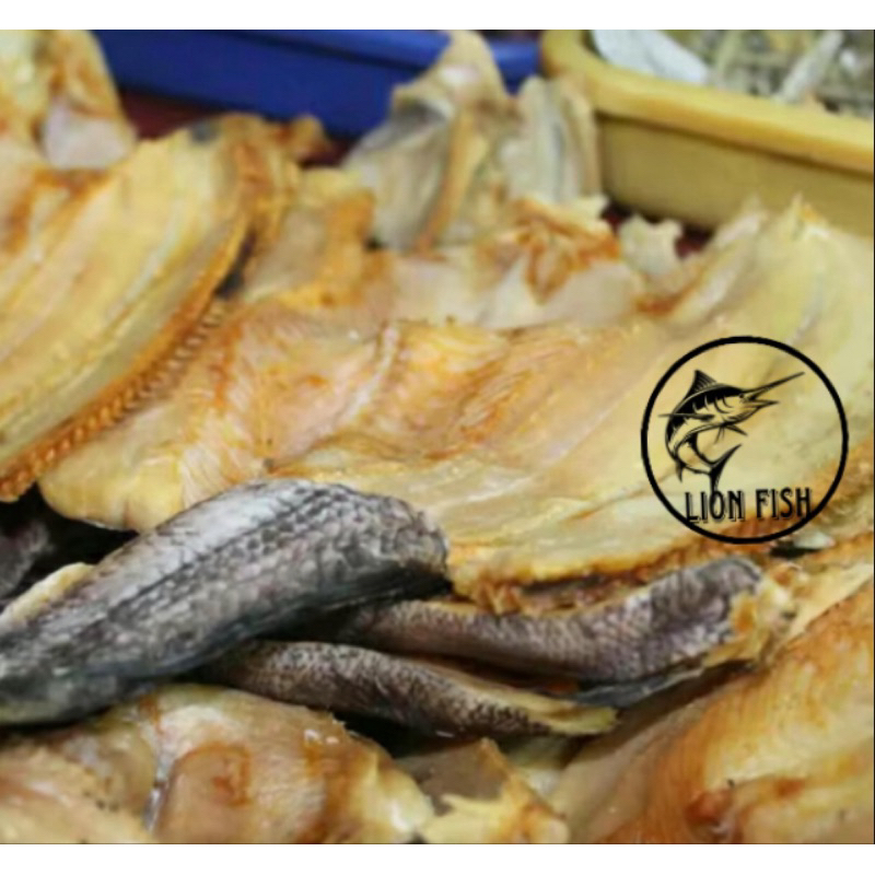 Jual ikan asin gabus laut/bloso besar fresh;1kg | Shopee Indonesia