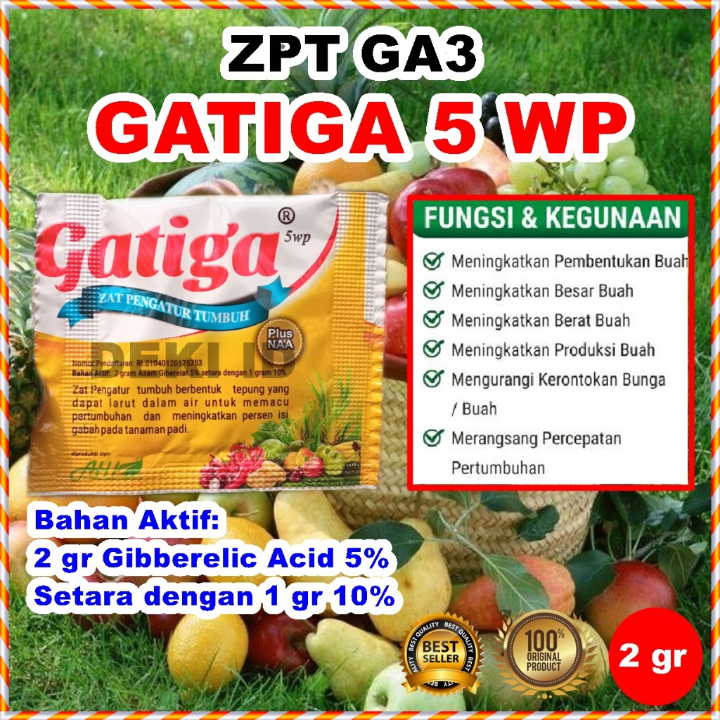 Jual Gatiga 5 WP Hormon GA3 Giberelin Acid ZPT Asam Giberelat Zat ...