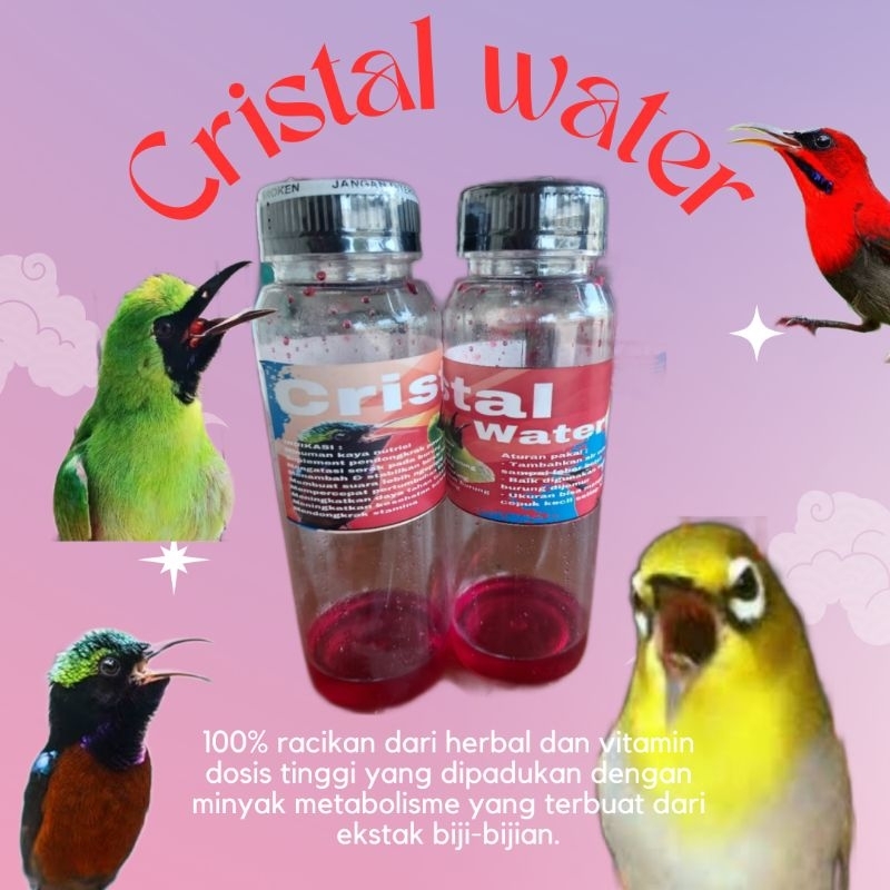 Jual Cristal water multivitamin minuman pleci doping pleci doping sogon ...