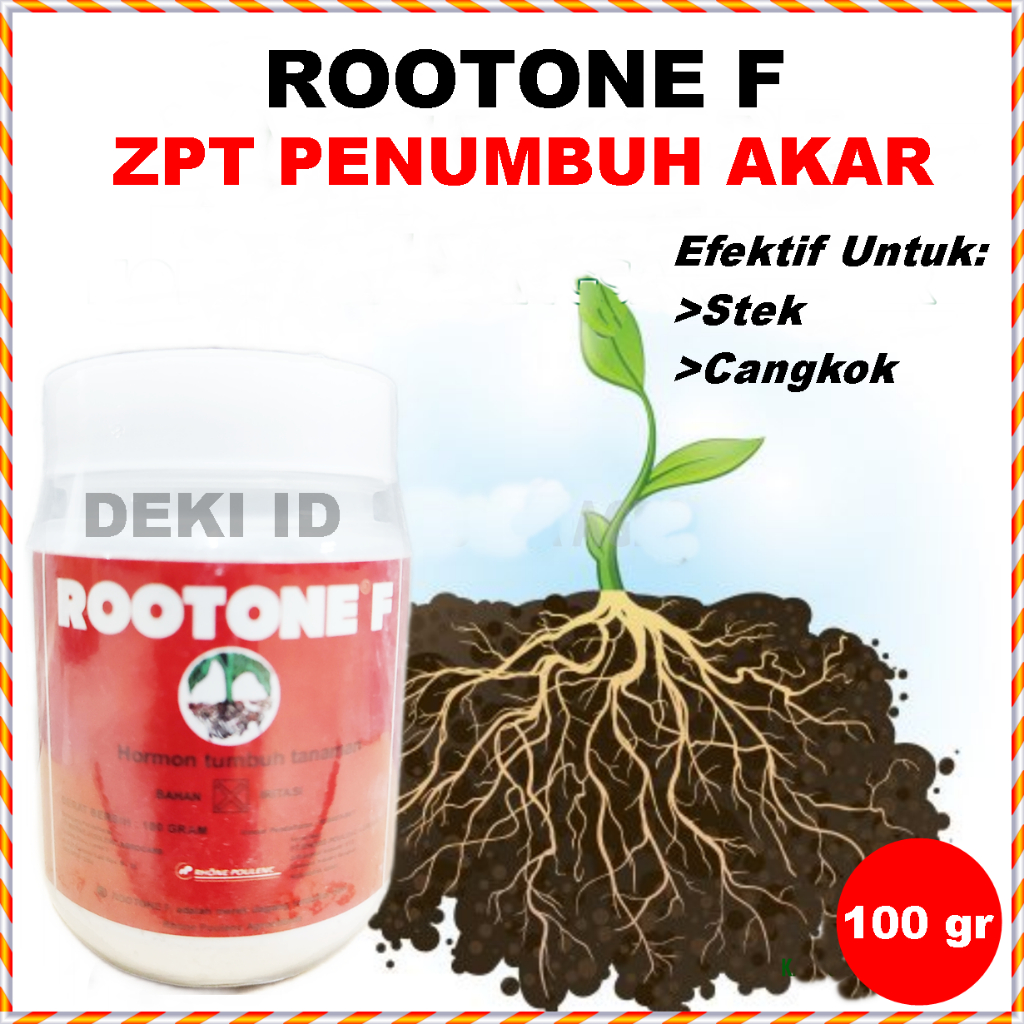 Jual Rootone F 100 Gram Hormon Penumbuh Akar Tanaman ZPT Stek Cangkok Batang Root One Up ...