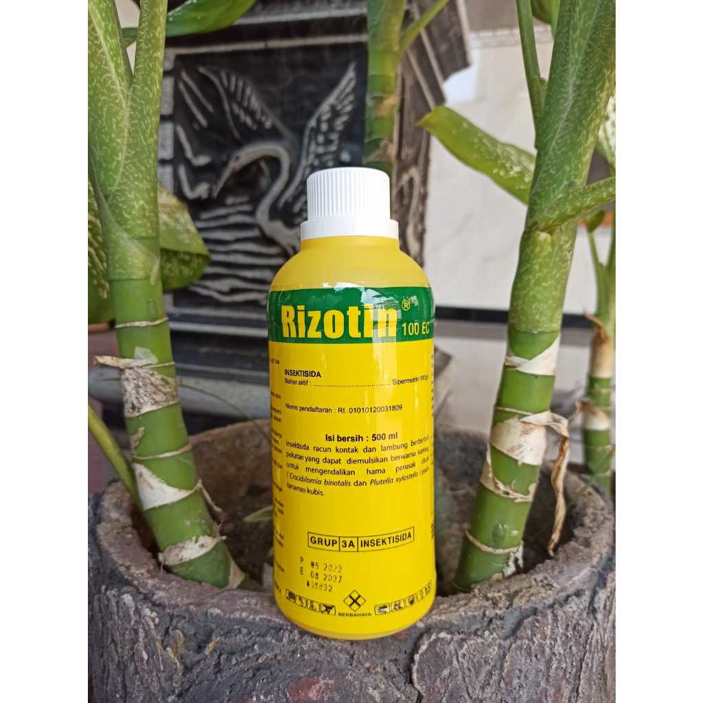 Jual Insektisida Rizotin 100 EC 500ml Mengendalikan Hama Perusak Daun ...