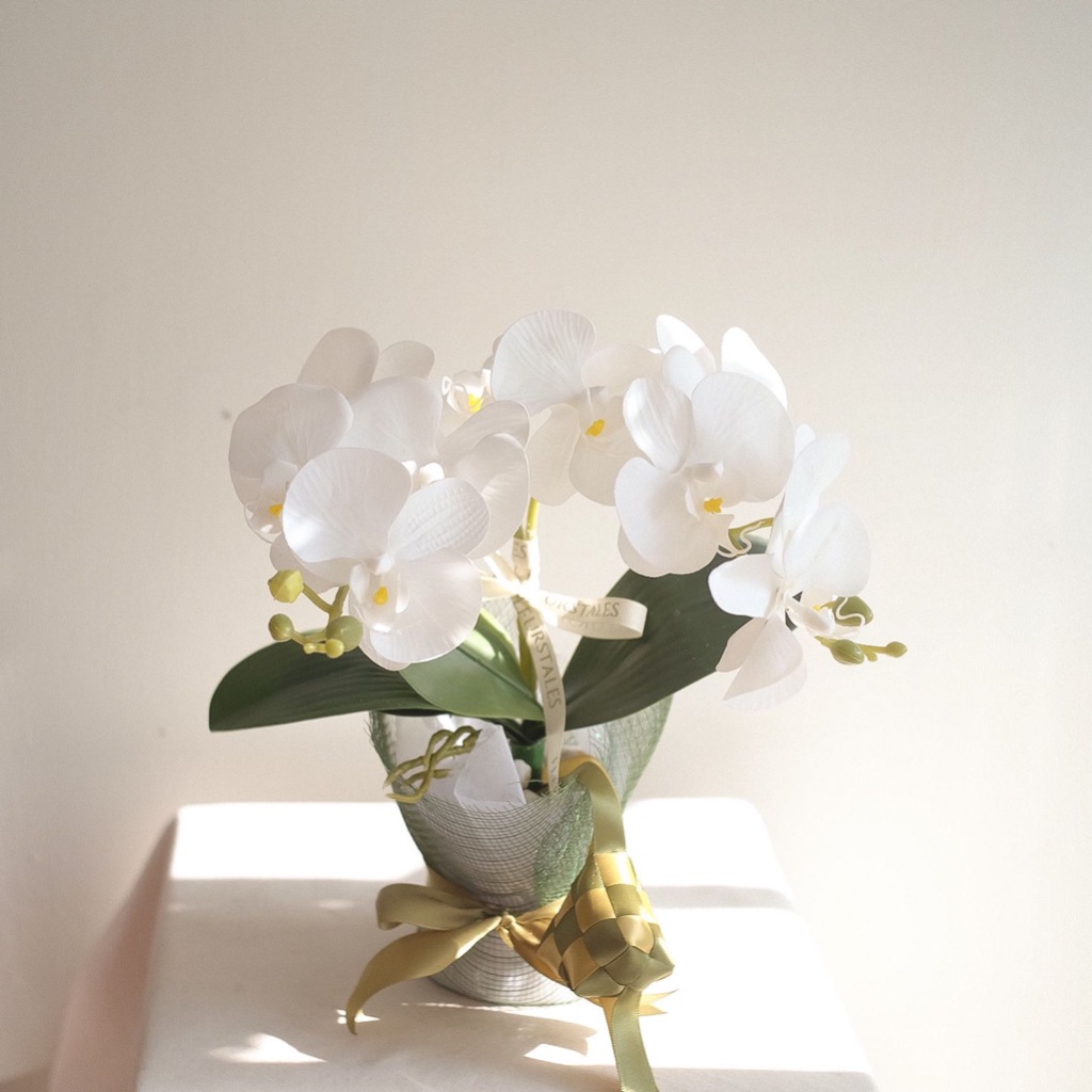 Jual Mini Rama Jana | Shopee Indonesia