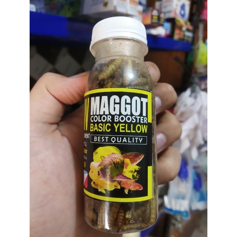 Jual MAGGOT // YELLOW // 30 GRAM // PAKAN IKAN | Shopee Indonesia