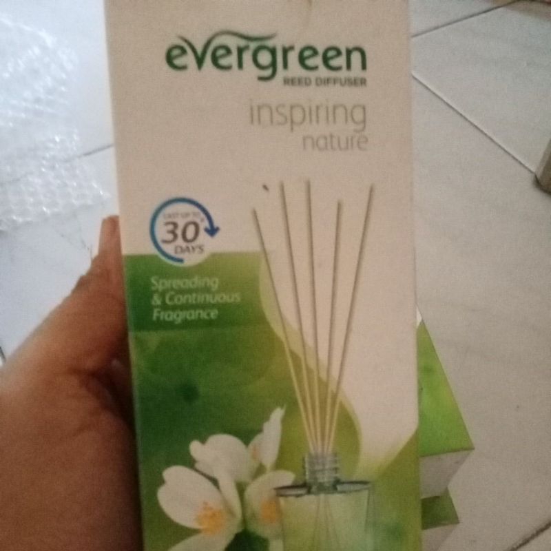 Jual Pengharum Ruangan Evergreen/Evergreen Reed Diffuser 30ml + Refill ...