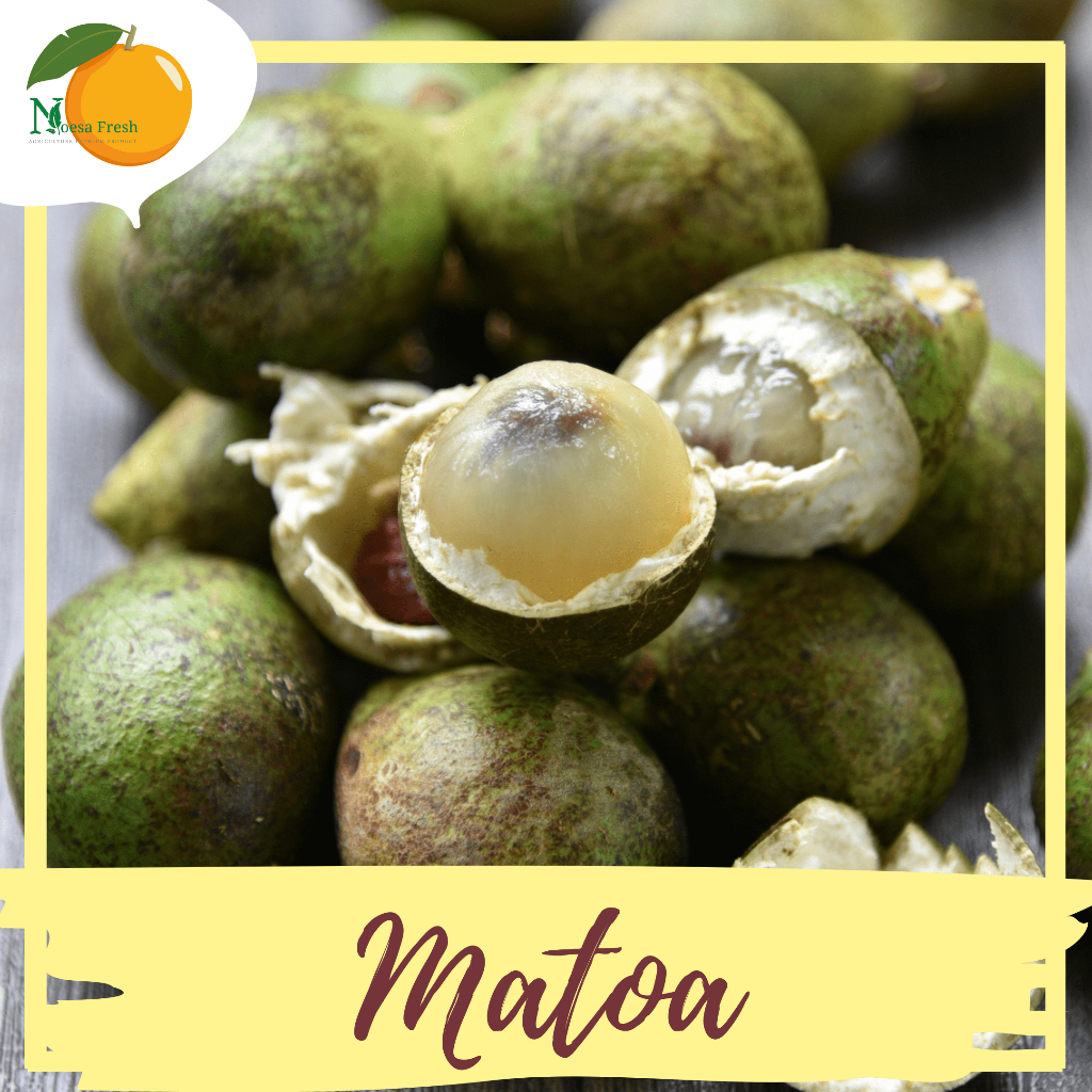 Jual Matoa Fresh Langka 1kg | Shopee Indonesia