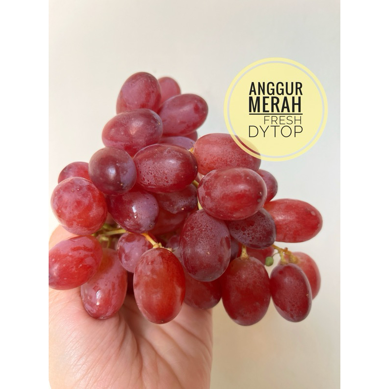 Jual Buah Anggur Merah Fresh Segar Manis Seedless | Shopee Indonesia