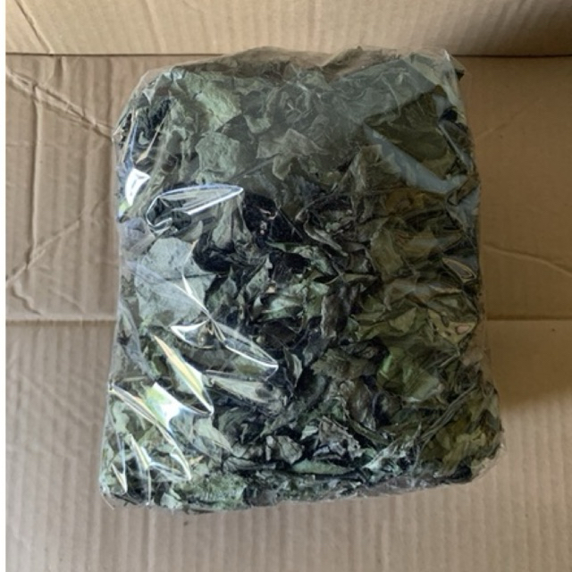 Jual daun keji beling pecah beling herbal batu ginjal rempah | Shopee ...