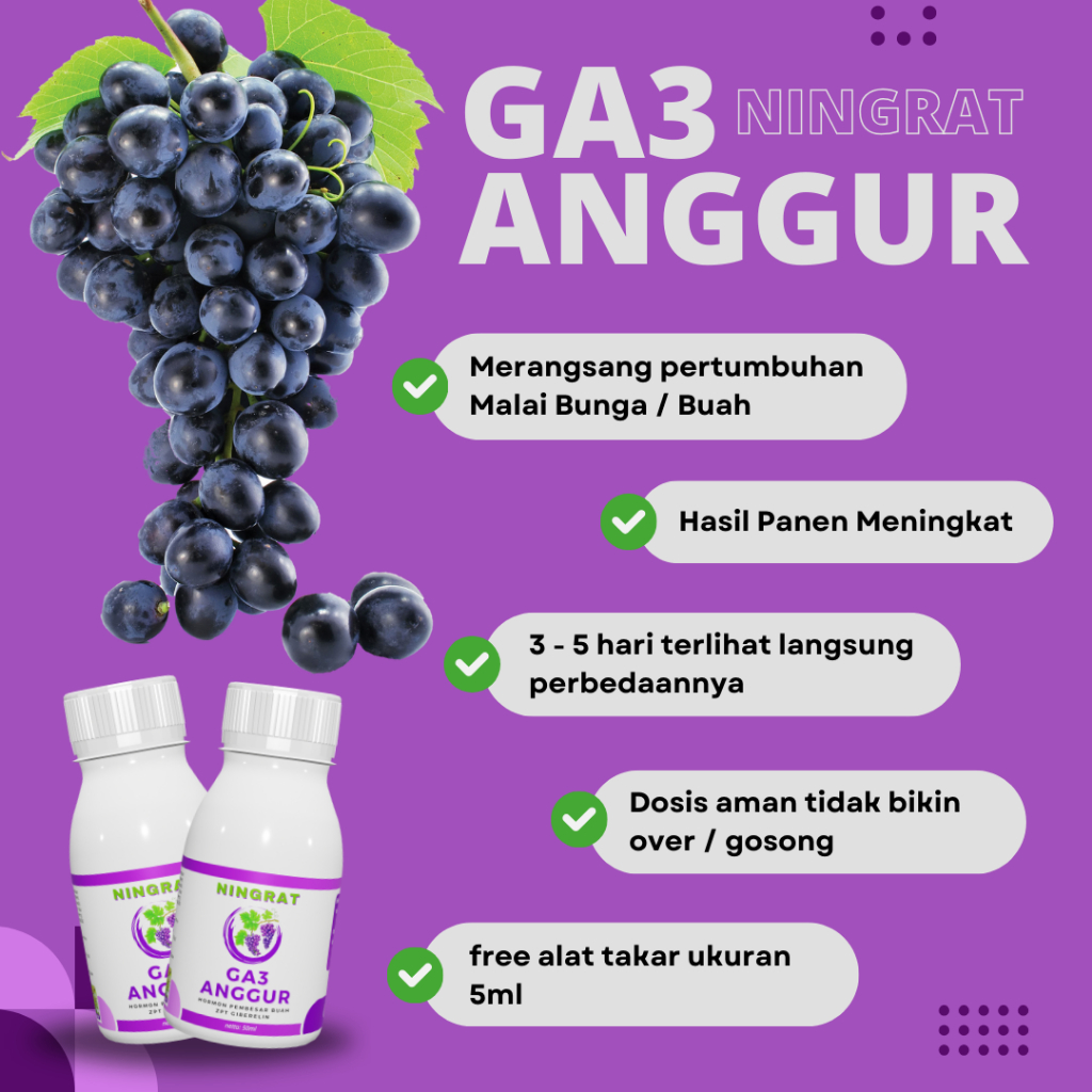 Jual GA3 Giberelin Acid ANGGUR | Zat Pengatur Tumbuh ZPT TANAMAN ANGGUR | Shopee Indonesia