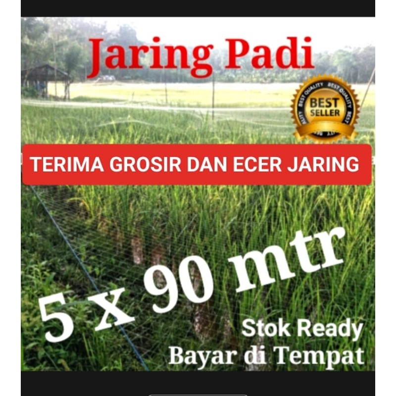 Jual JARING BURUNG SAWAH jaring ikan 5mx100yds jaring padi sawah jaring ...