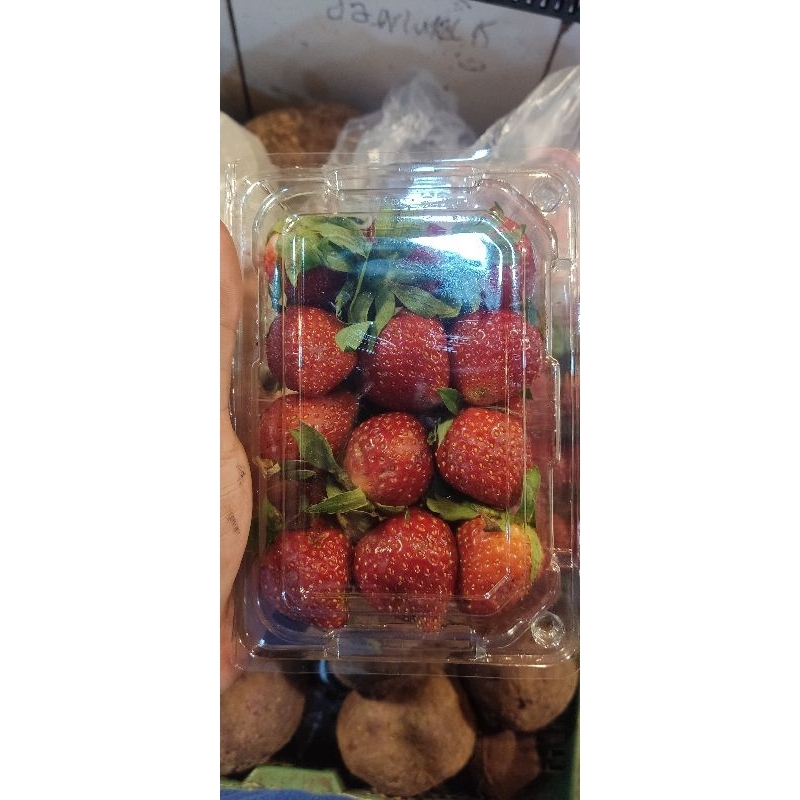 Jual stoberi 1 pack berat 250gr | Shopee Indonesia