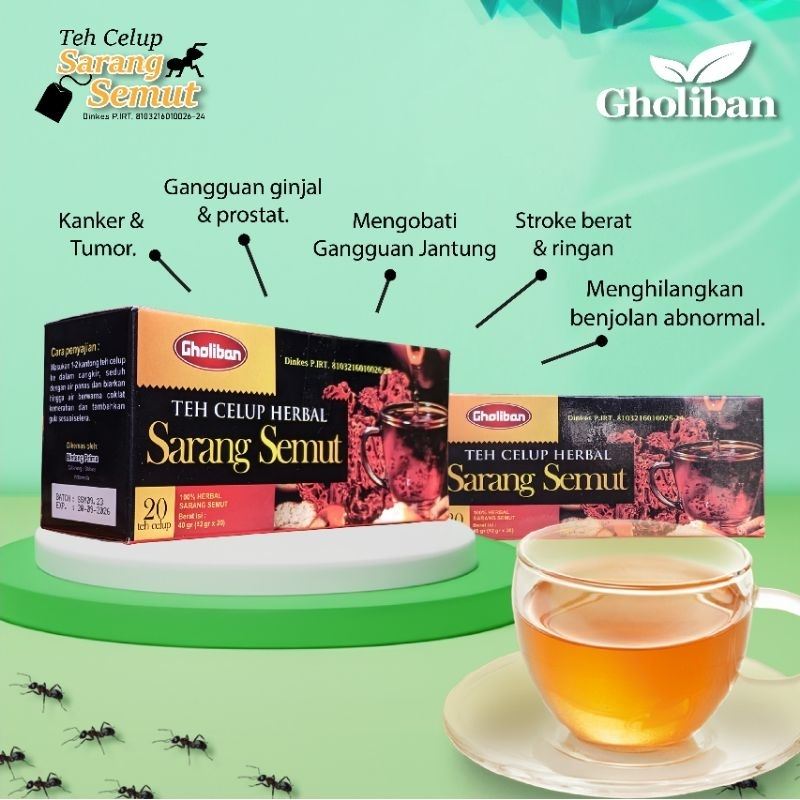 Jual TEH CELUP HERBAL SARANG SEMUT PAPUA GHOLIBAN - ORIGINAL 20 kantong ...