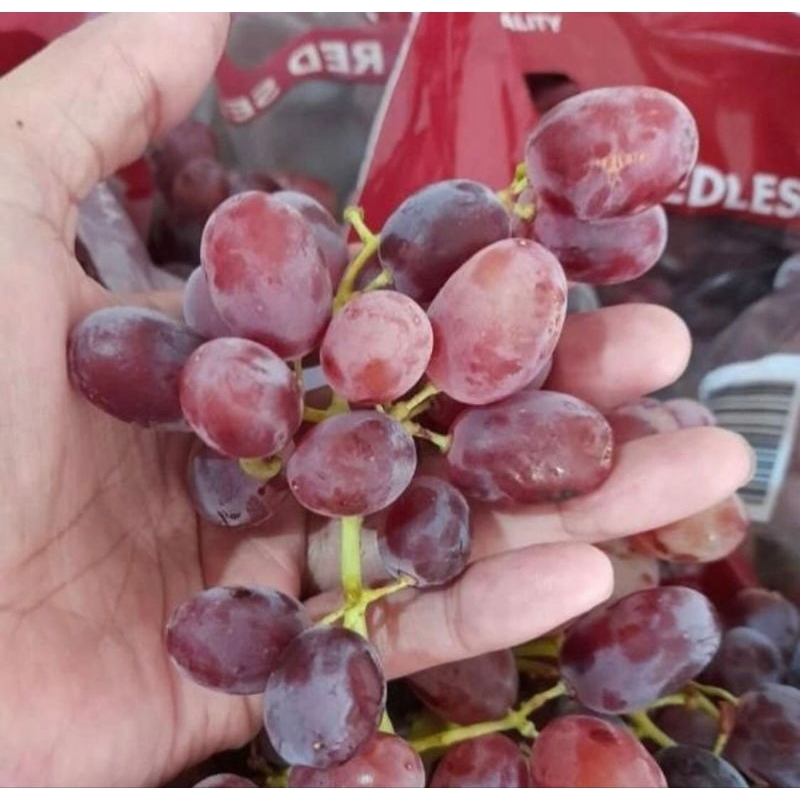Jual buah anggur merah crimson|buah anggur merah|buah anggur merah ...