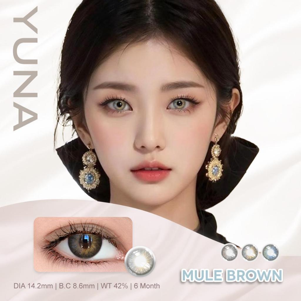 Jual JUAL SOFTLENS - 8-EYE YUNA MULE Normal s/d Minus 600 | Shopee ...
