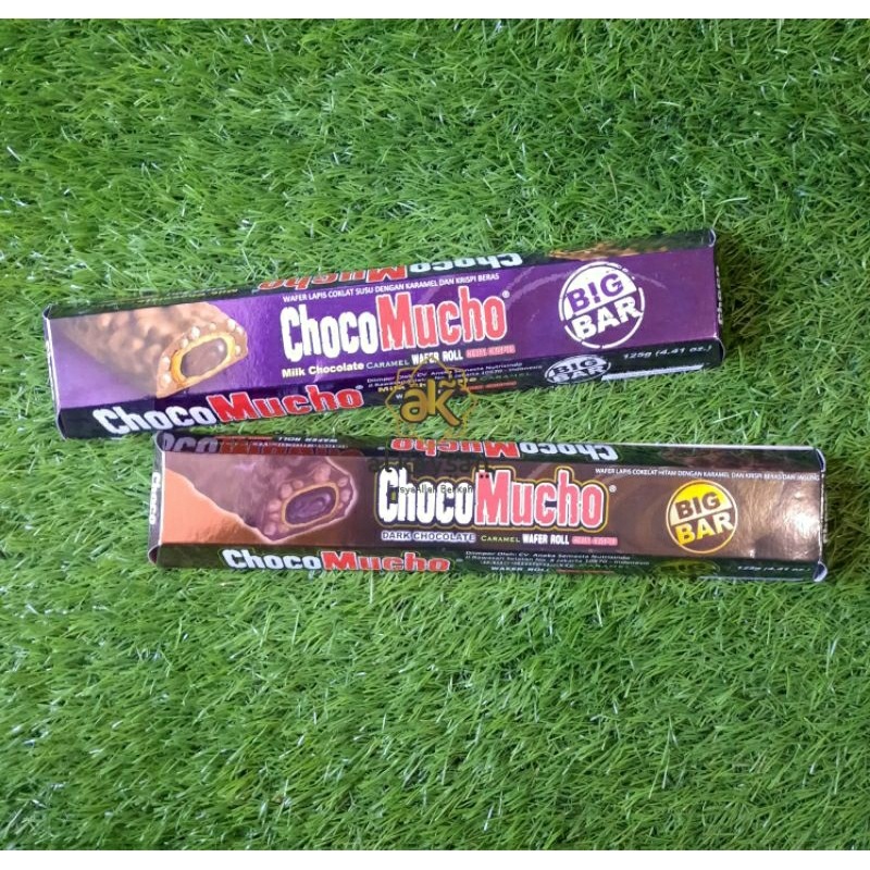 Jual WAFER COKLAT CHOCO MUCHO BIG BAR DARK /MILK CHOCOLATE 125 gr HALAL ...