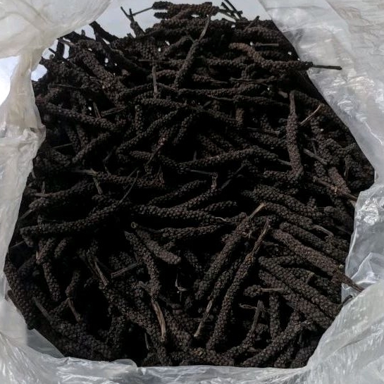 Jual Cabe Jamu Kering 1 Kg // Cabe Jawa 500 Gram Setengah Kilo ½ Kg ...