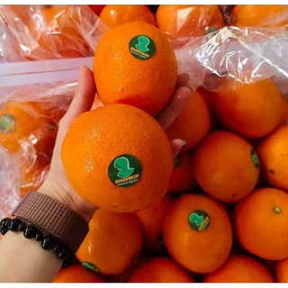 Jual Jeruk Navel peras jeruk iris 1 kg | Shopee Indonesia
