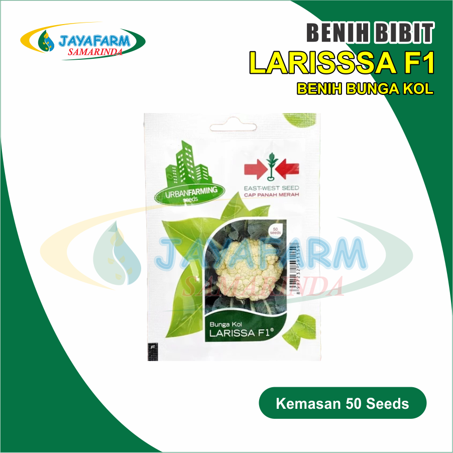 Jual Benih Bibit Tanaman Sayur Bunga Kembang Kol Larissa F1 50 Seed ...
