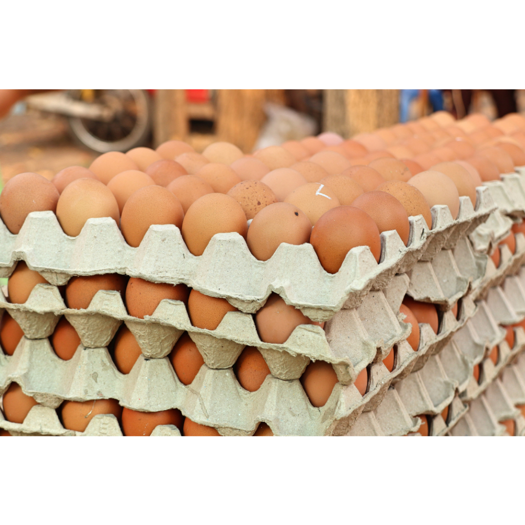 Jual Telur Ayam Negeri Fresh | Shopee Indonesia