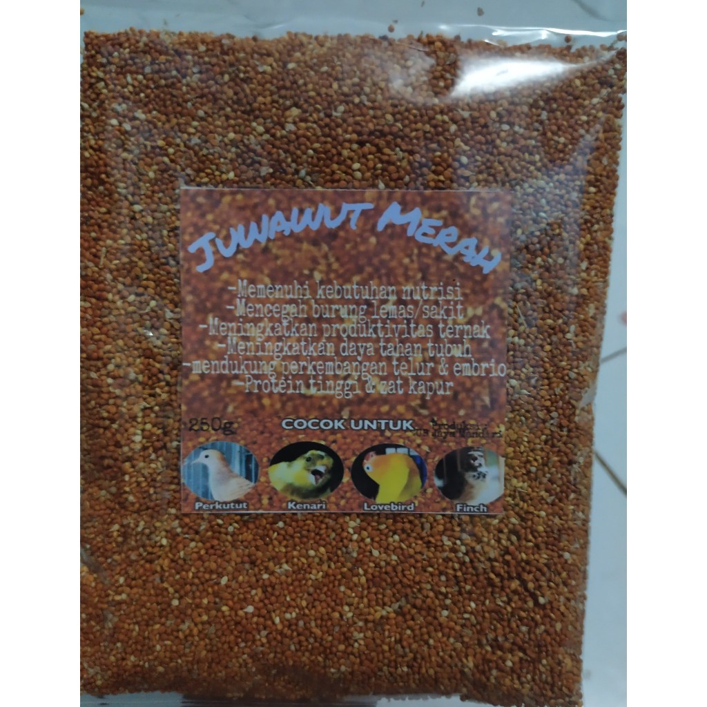 Jual biji jewawut makanan burung racik biji jawaut pakan perkutut ...