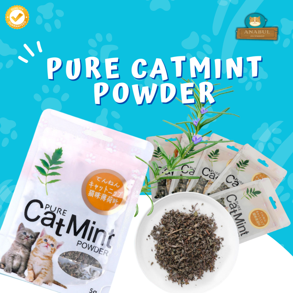 Jual Catnip catmint cat mint - PURE CATMINT POWDER - BIKIN FLY KUCING ... Jual Catnip catmint cat mint - PURE CATMINT POWDER - BIKIN FLY KUCING ...