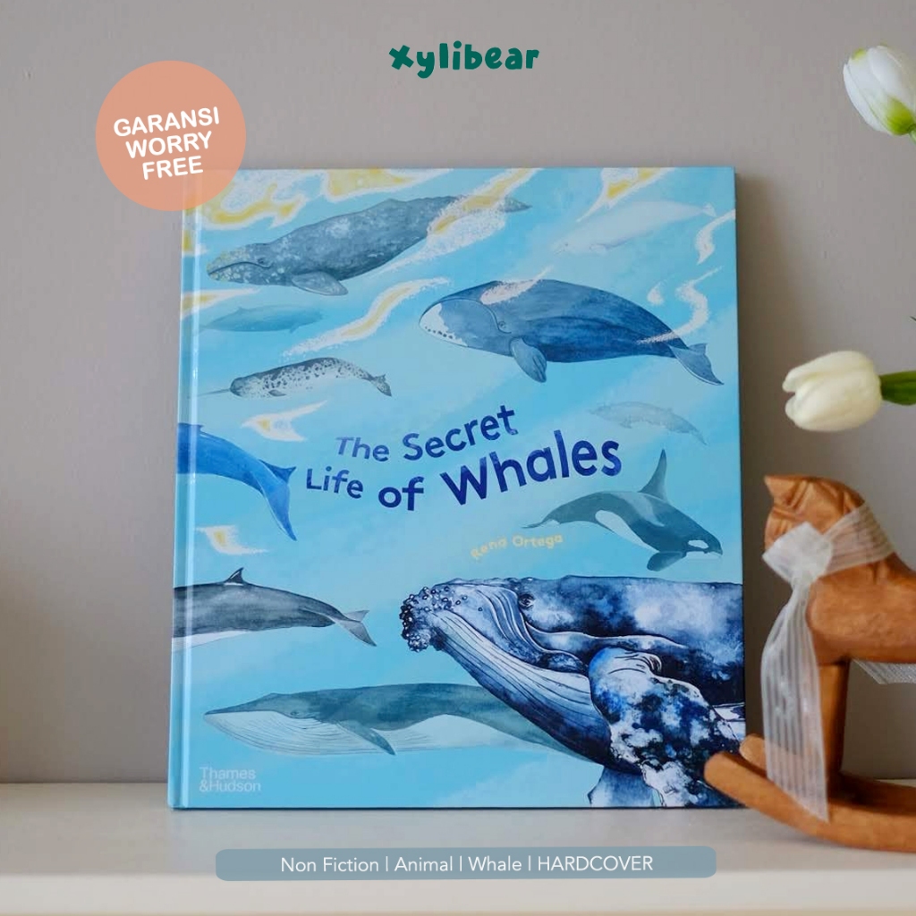 Jual THE SECRET LIFE OF WHALES - Children's Books - Xylibear - Import ...