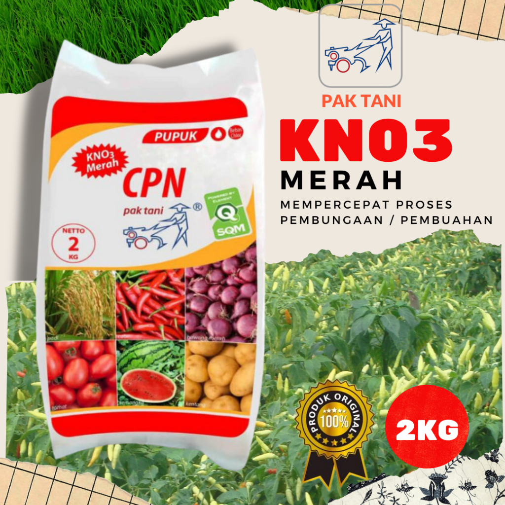 Jual Pupuk KN03 Merah CPN 15-0-14 Pak Tani Kemasan Pabrik 2 Kg Untuk fase Pertumbuhan | Shopee ...