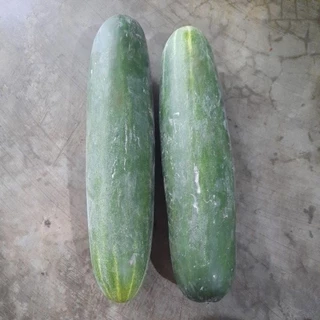 Jual Timun 1 Kg Terlengkap & Harga Terbaru Juli 2024 | Shopee Indonesia