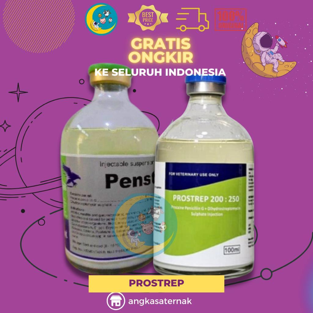 Jual PROSTREP - 200 100 ml - PENGGANTI PENSTREP OBAT Antibiotik Injeksi ...