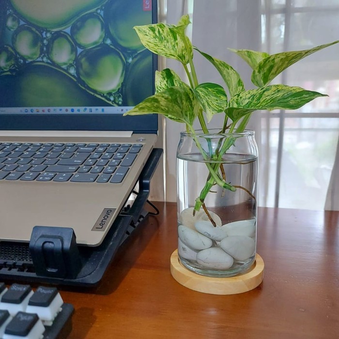 Jual URBAN CRAFT - VAS BUNGA KACA TABUNG SILINDER / VAS TINGGI BAMBOO ...