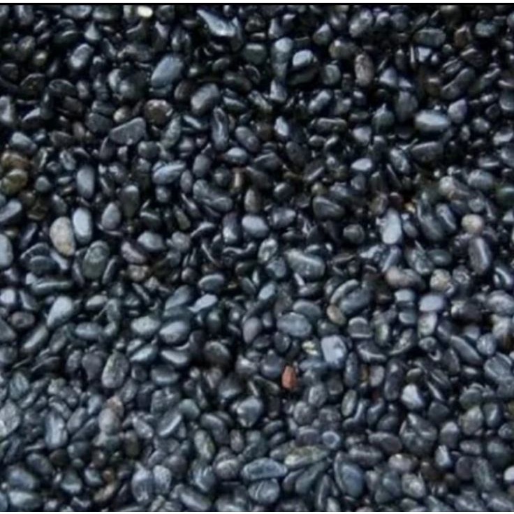 Jual Bonus Bubble batu koral sikat hitampancawarna 1kg karungan ...