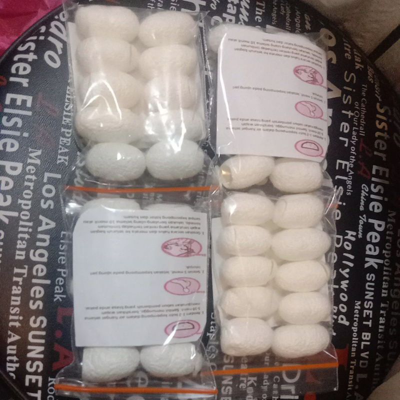 Jual Kepompong facial grade A isi 10pcs / kepompong ulat sutra ...