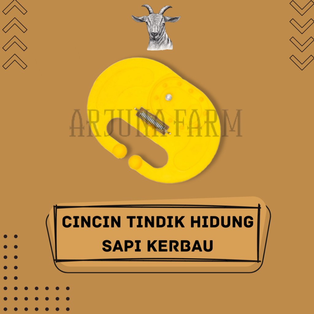 Jual Cincin Tinik Hidung Sapi Kuda Kerbau Alat Penyapih Anak Sapi ...