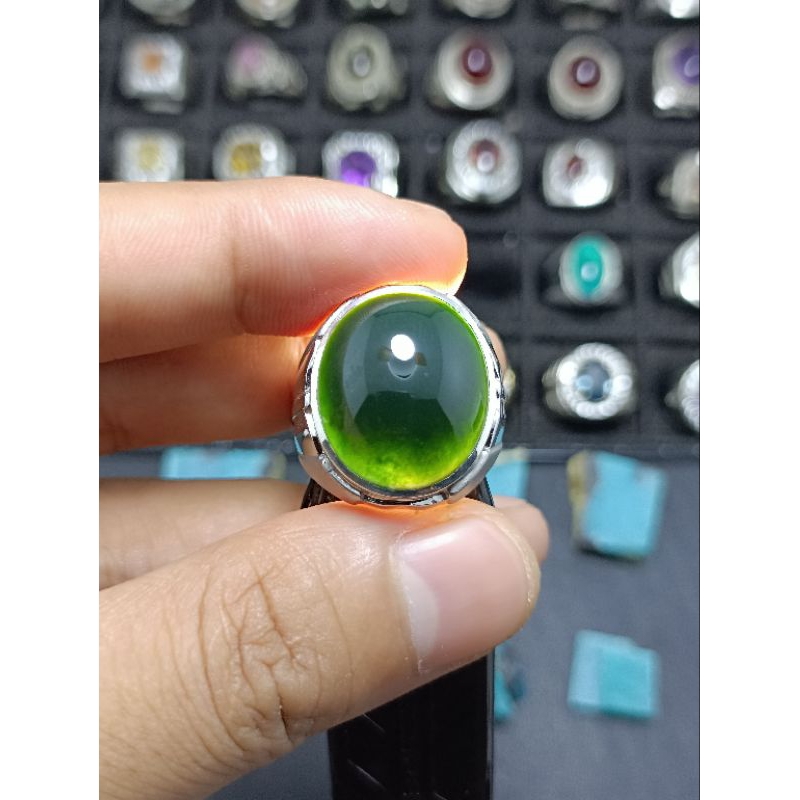 Jual Bacan Doko mejiko ( ijo botol ) | Shopee Indonesia