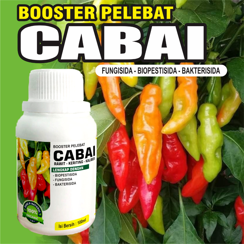 Jual Pupuk Booster Cabai Pelebat Organik Cepat Berbuah Lebat 100ml murni fermentasi organik ...