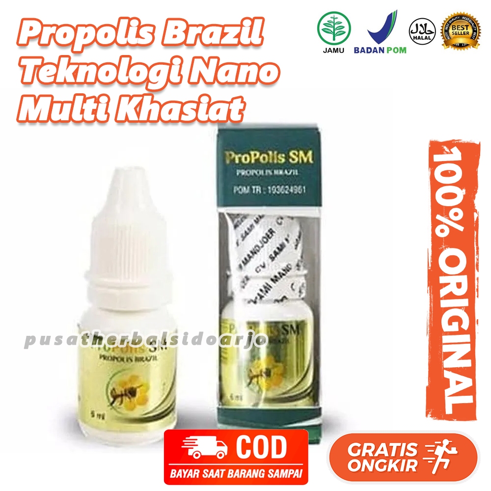 Jual Propolis SM Asli 100% Original Propolis Brazil murni With Nano ...