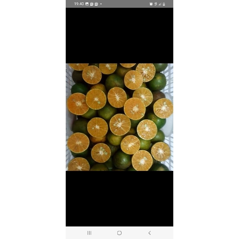 Jual jeruk peras 1kg | Shopee Indonesia