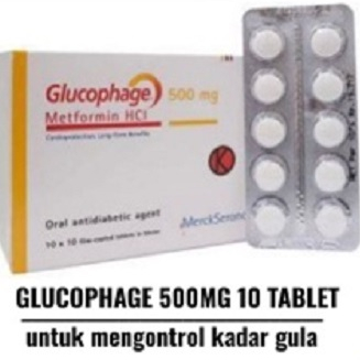 Jual GLUCOPHAGE 500MG 10 TABLET | Shopee Indonesia