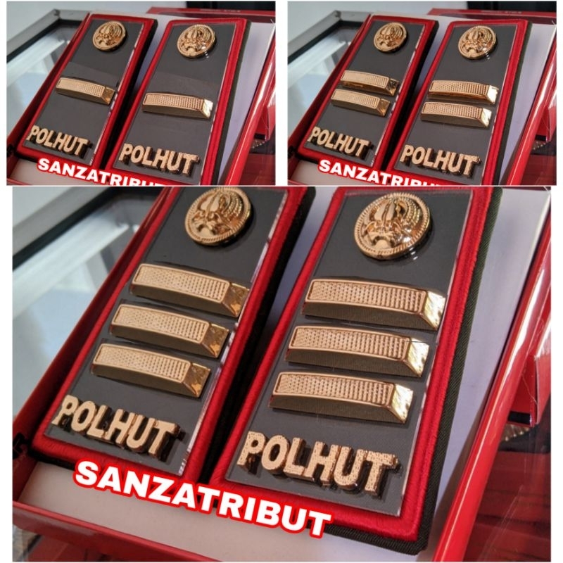 Jual Pangkat PDH POLHUT Golongan 3A 3B 3C Mika Bening | Shopee Indonesia