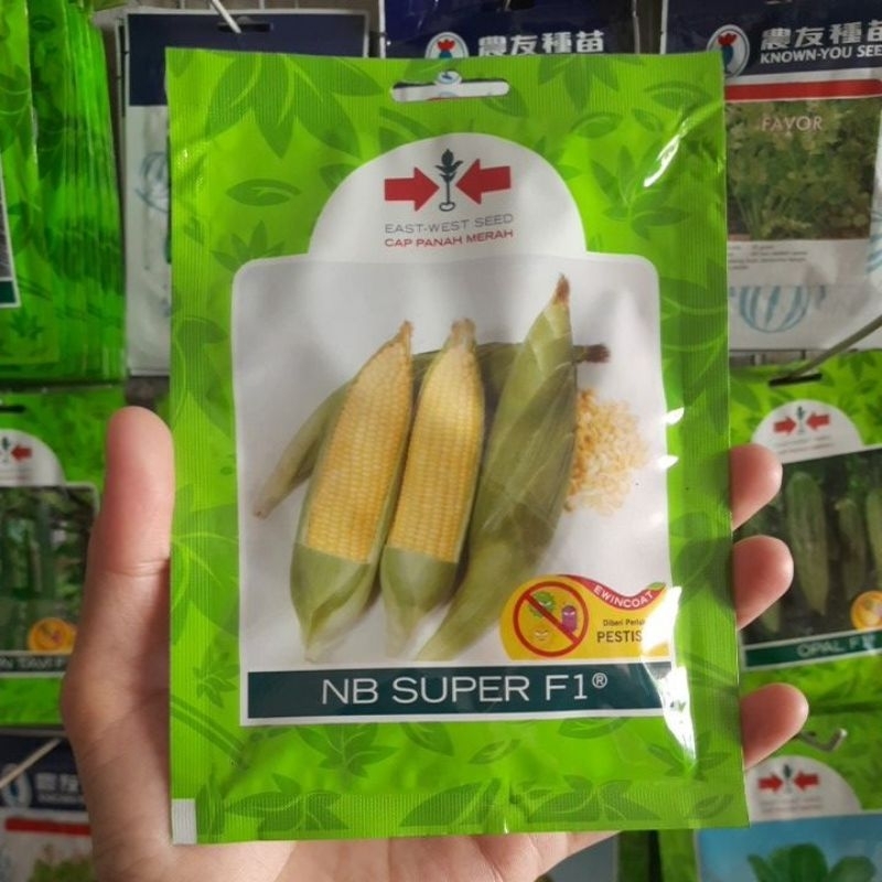 Jual Benih Jagung Manis NB SUPER F1 Isi 200biji | Shopee Indonesia