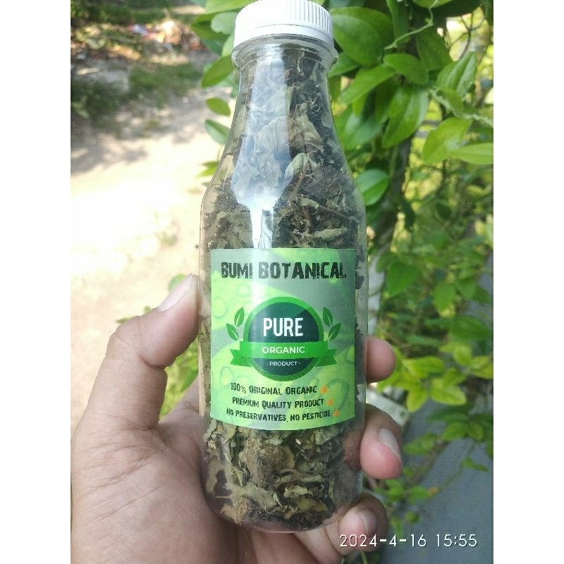 Jual teh kering daun Afrika daun klorofil herbal 15 gram | Shopee Indonesia