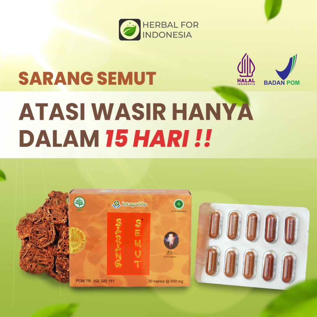 Jual Sarang Semut Obat Herbal Wasir Ambeien 10 Kapsul Jamu Tradisional ...