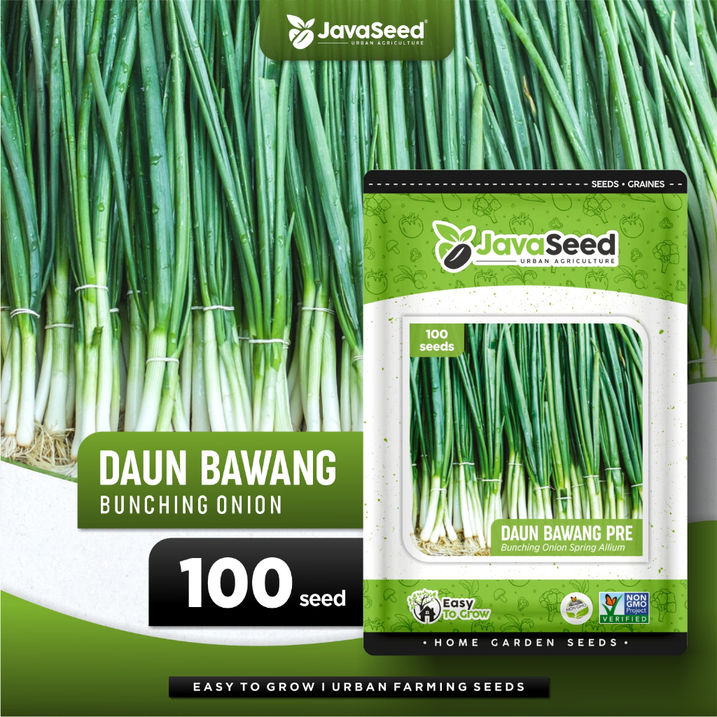 Jual JAVASEED - Benih Daun Bawang Pre Bunching Onion Natsugoro F1 100 ...