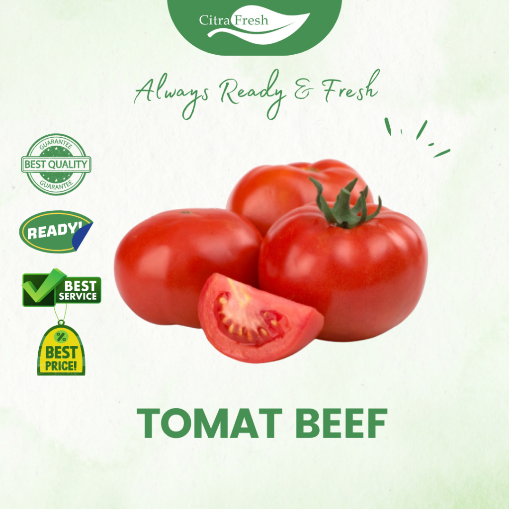 Jual CITRA FRESH - Tomat Beef 1 Kg - Selalu Ready dan Fresh | Shopee ...