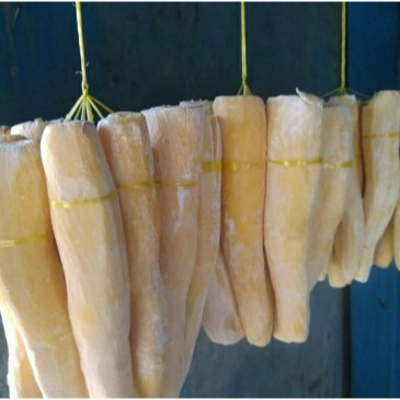 Jual peuyeum tape singkong peyeum khas Bandung 2000gr oleh oleh khas Bandung | Shopee Indonesia