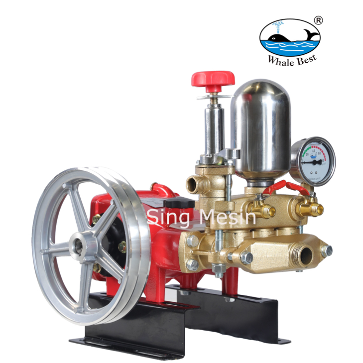 Jual Pompa Steam Motor Mobil Semprot Kebun Power Sprayer WHALE BEST ...