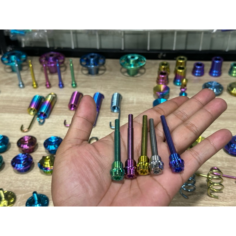 Jual Pin Tojosan Caliper Kaliper Nissin 2p 2 Piston Titanium | Shopee Indonesia