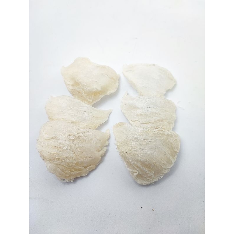 Jual Yanwo Sarang walet segitiga bersih 50 gram / Liur Sarang walet ...